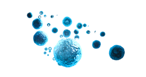 PureCellの強み | 株式会社PureCell